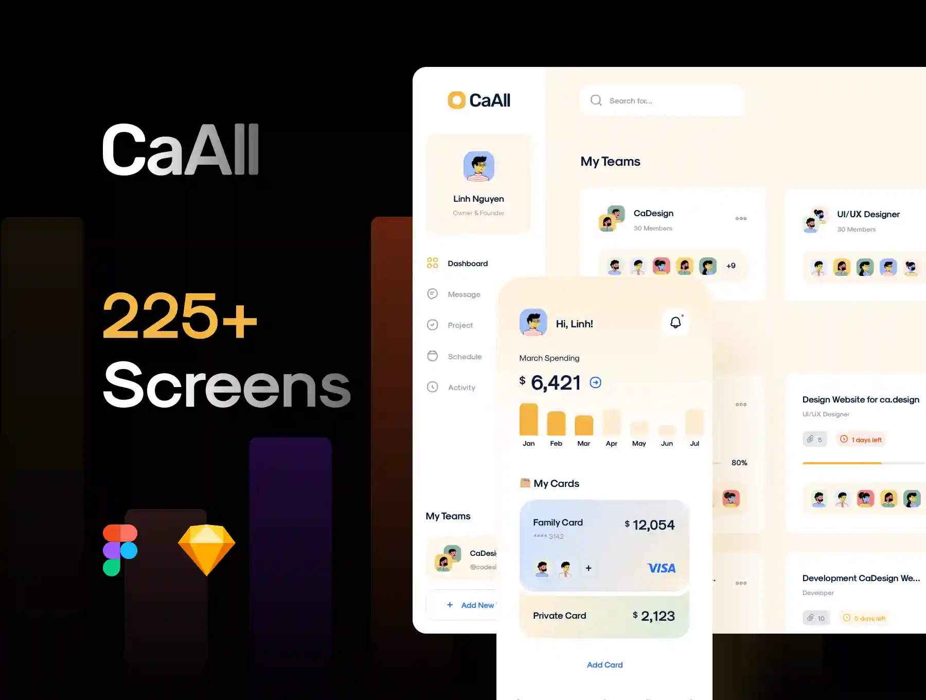 CaAll Dashboard & App UI Kit UI Kits — UI Custom